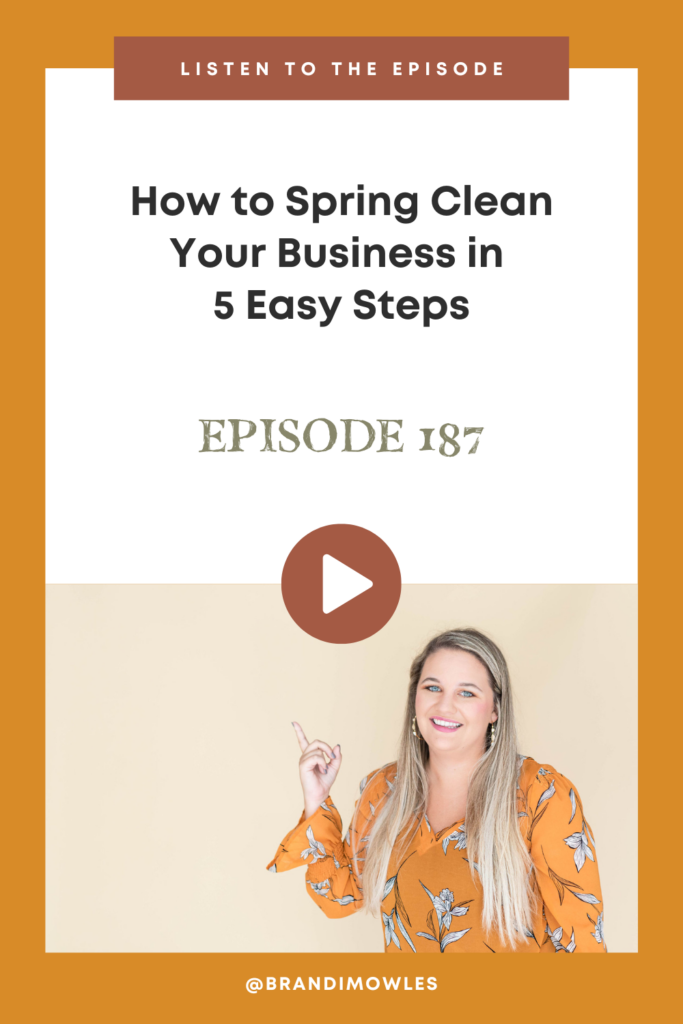 187: How to Spring Clean Your Business in 5 Easy Steps - brandimowles.com